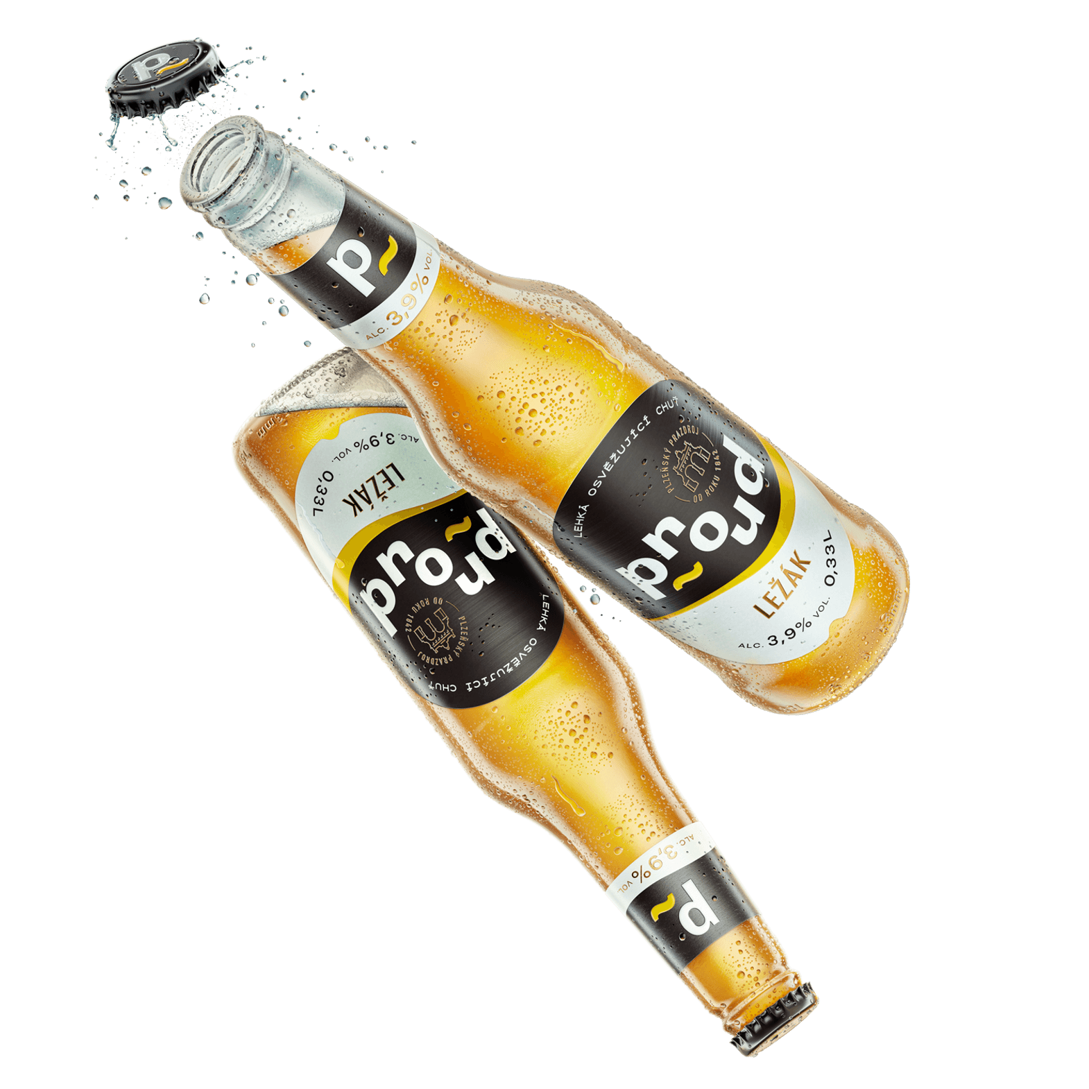 Terms and conditions | Pivo Proud